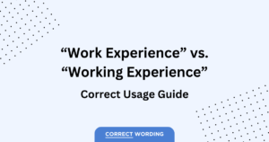 “Work Experience” vs. “Working Experience” - Navigating Professional ...